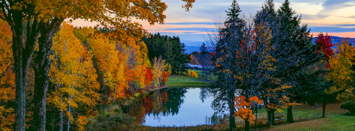 Fall Hiking Adventures in Stowe: Best Trails for Stunning Views - Edson ...